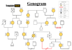 10 Free Genogram Diagram Templates (MS Word) - TemplatesHub.org